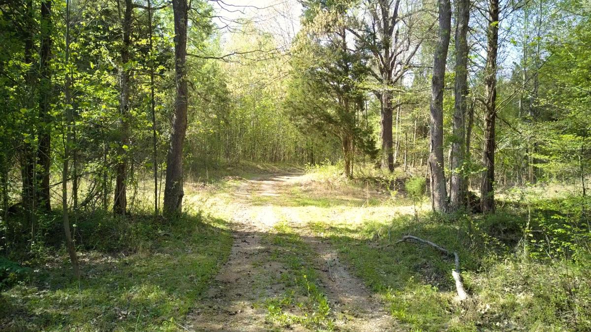 Ohio County Kentucky Recreational Tillable Land Kurtz Auction