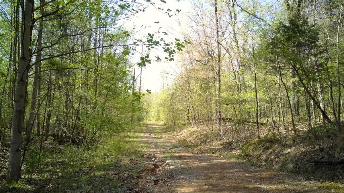 Ohio County Kentucky Recreational Tillable Land Kurtz Auction