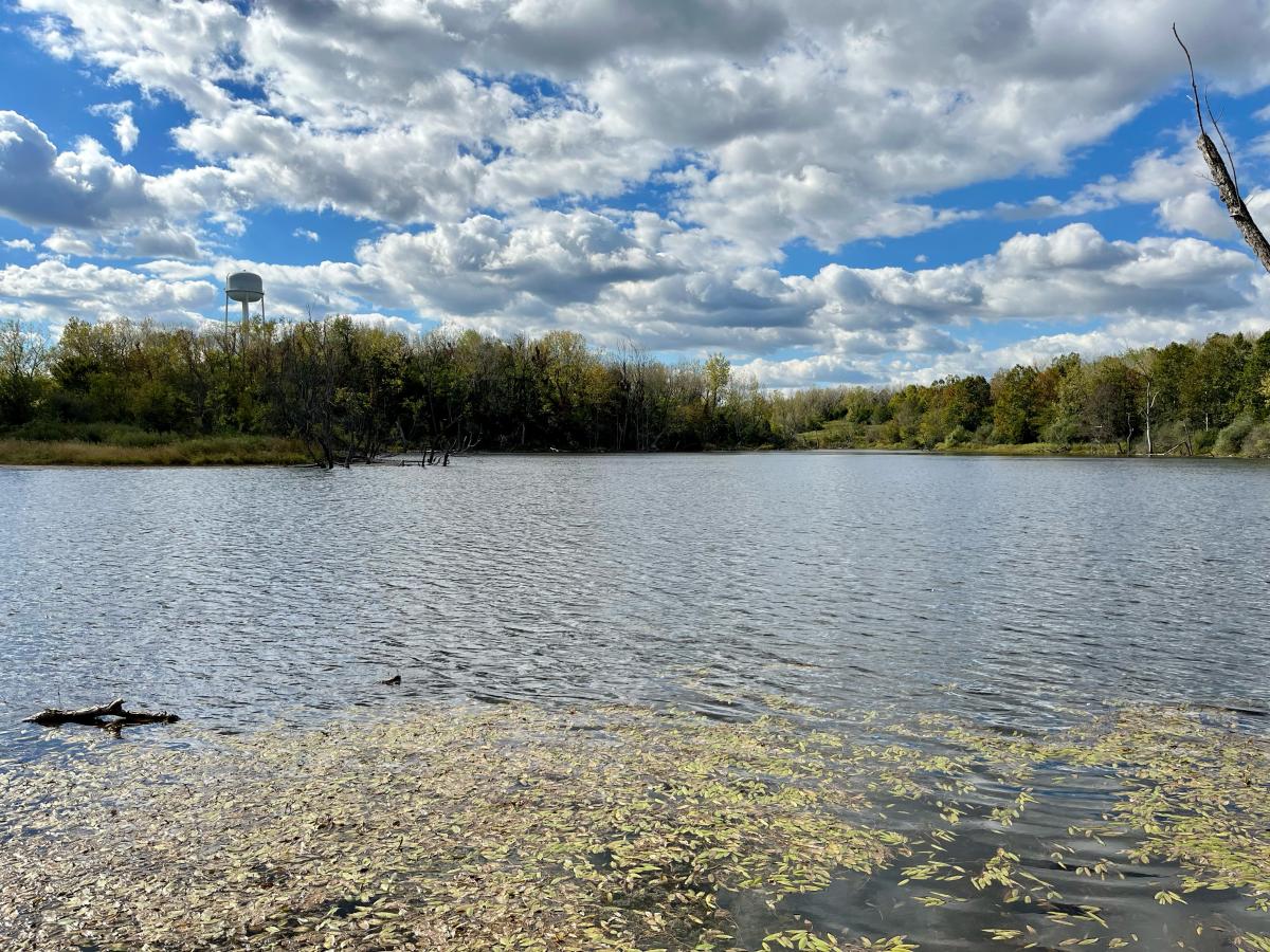 1,064.75+/- ACRES - 8 TRACTS | Kurtz Auction & Realty Co.