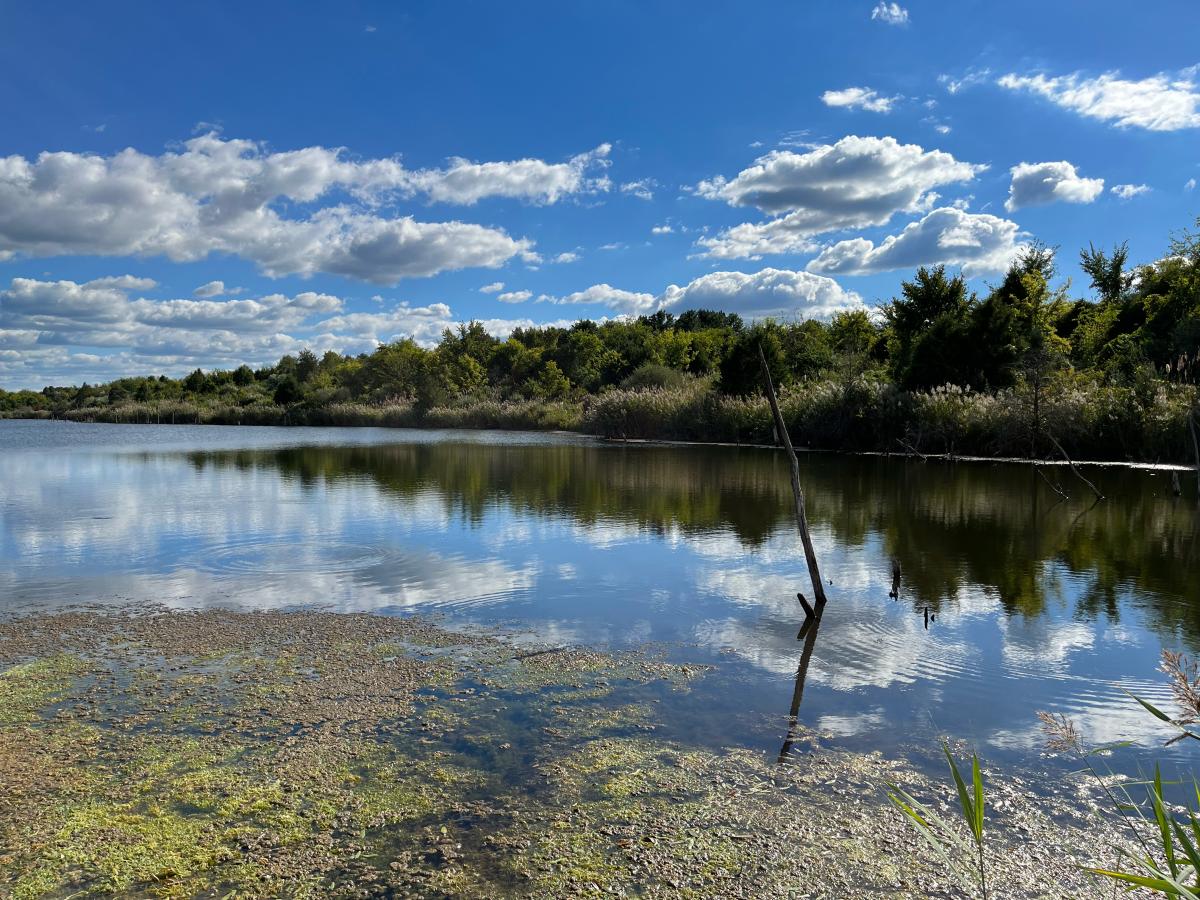 1,064.75+/- ACRES - 8 TRACTS | Kurtz Auction & Realty Co.