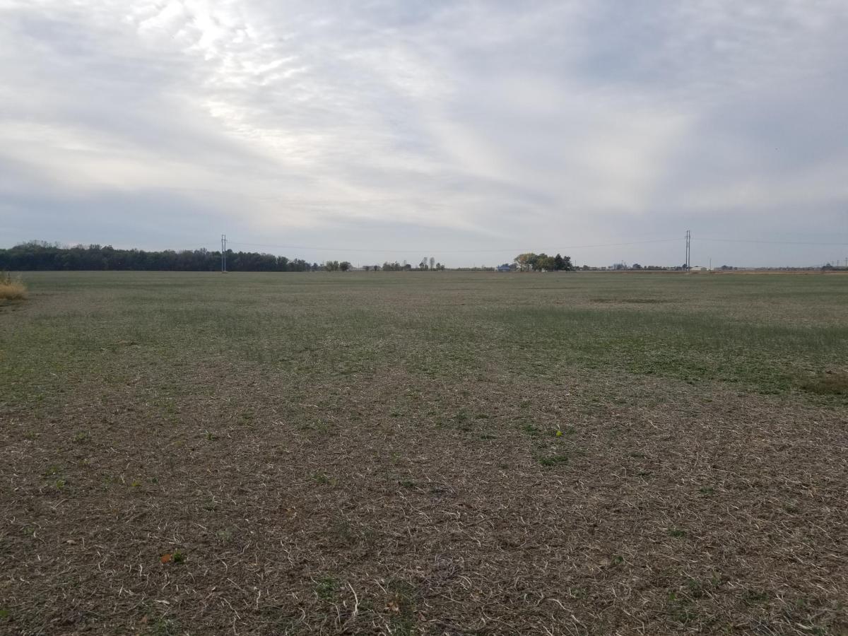 75 9 Acres 2 Tracts Gallery Kurtz Auction And Realty Co